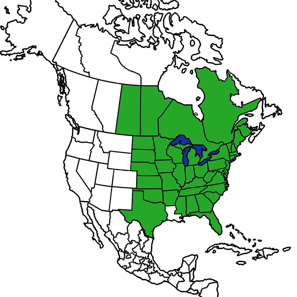 Red Columbine Range Map